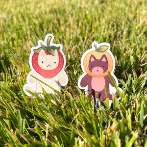 Cute Fruit Cat Stickers | Sticker Set | Strawberry, Orange, Banana ...