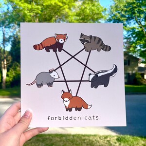 Forbidden Cat Meme 8x8 Print | Wall Art | Silly Animal Artwork | Fox ...