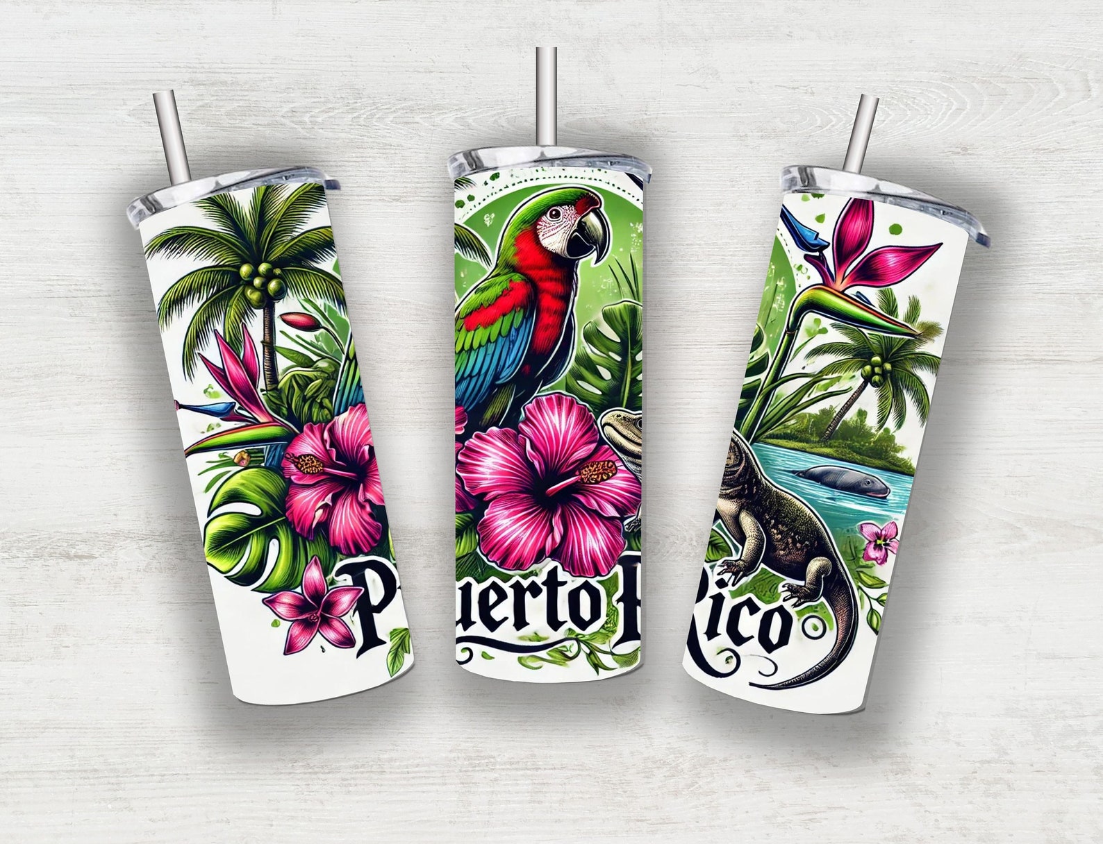 Puerto Rico Bird and Hibiscus Clipart Boricua Designs Digital Download ...