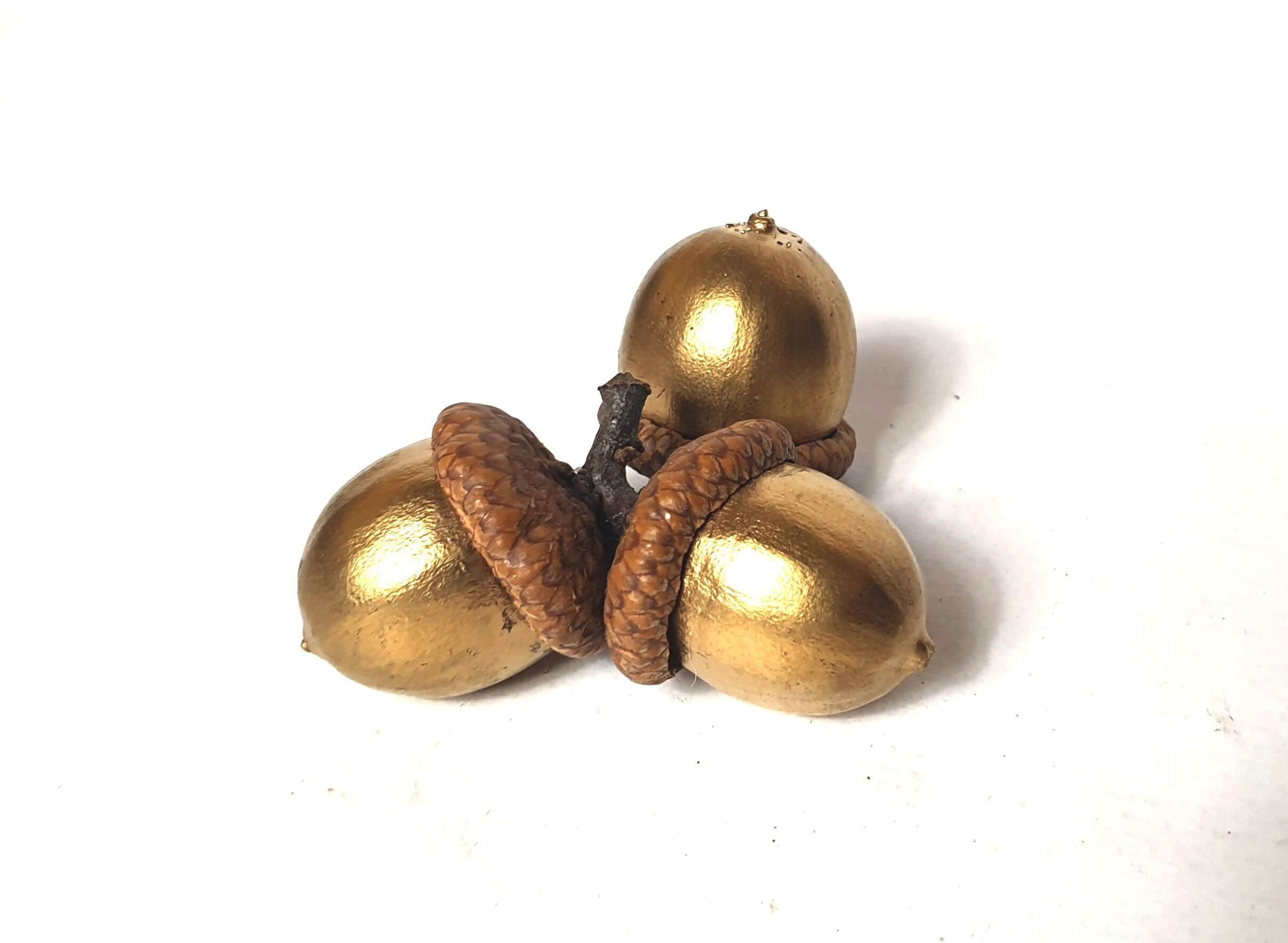 15 Golden Acorns, Hand-painted American Red Oak Acorns, Autumn ...