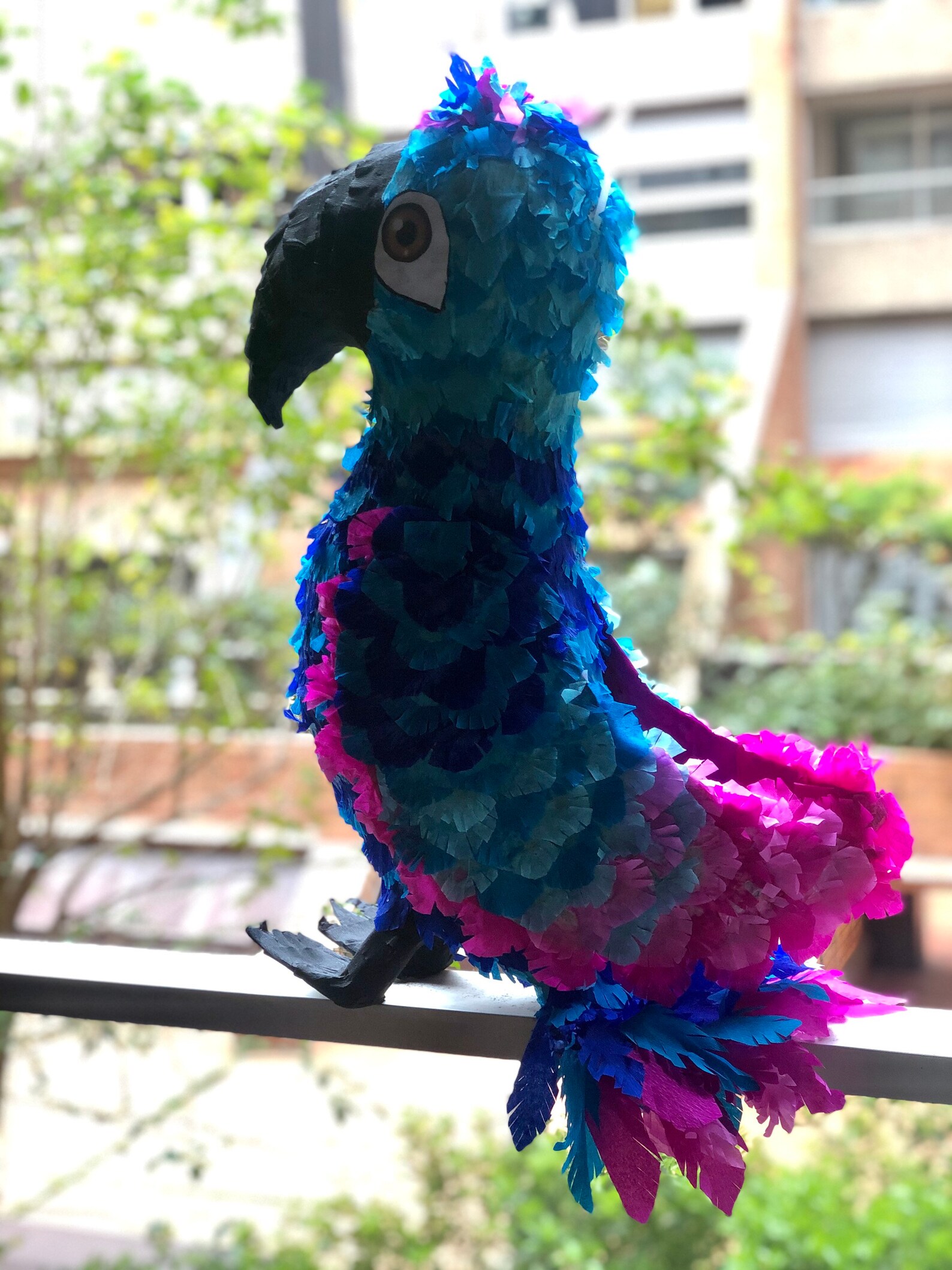 Piñata personnalisée oiseau bird Rio | Etsy