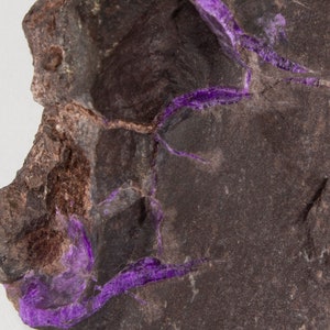 Sugilite and Manganese Specimen Wessels Mine South Africa - Etsy