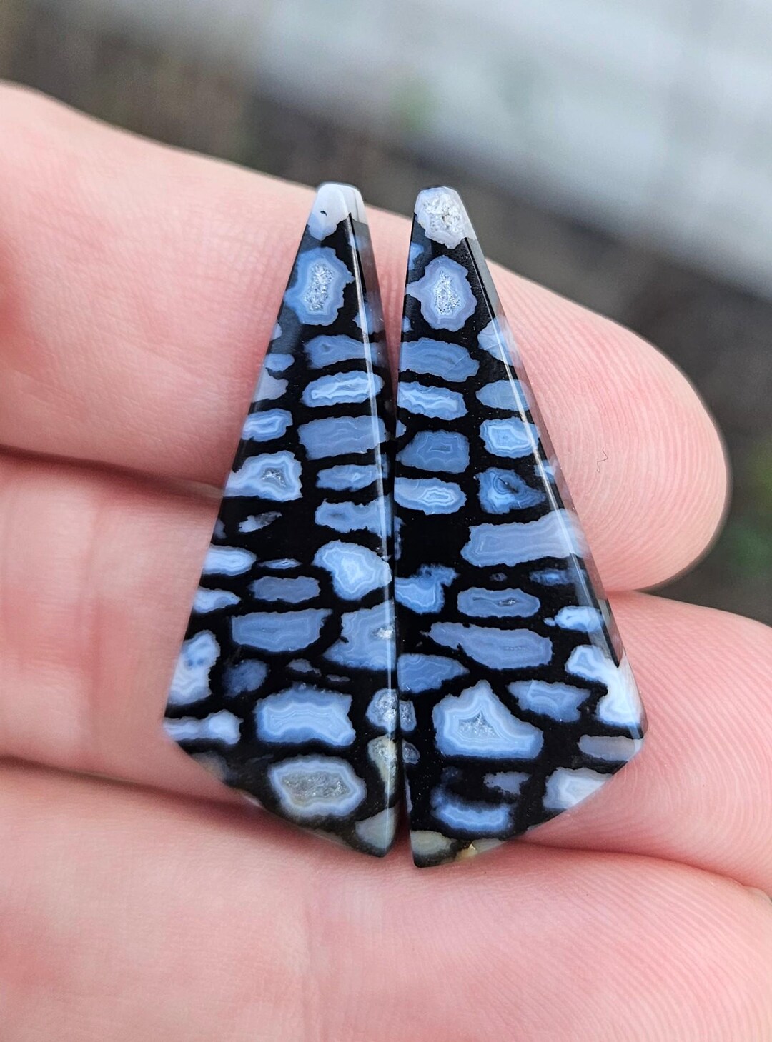 Triangular Agatized Palm Wood Cabochon Pair Perfect for Earrings - Etsy