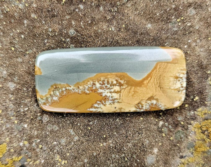 Small Rectangular Owyhee Picture Jasper Cabochon Scenic Mountains ...