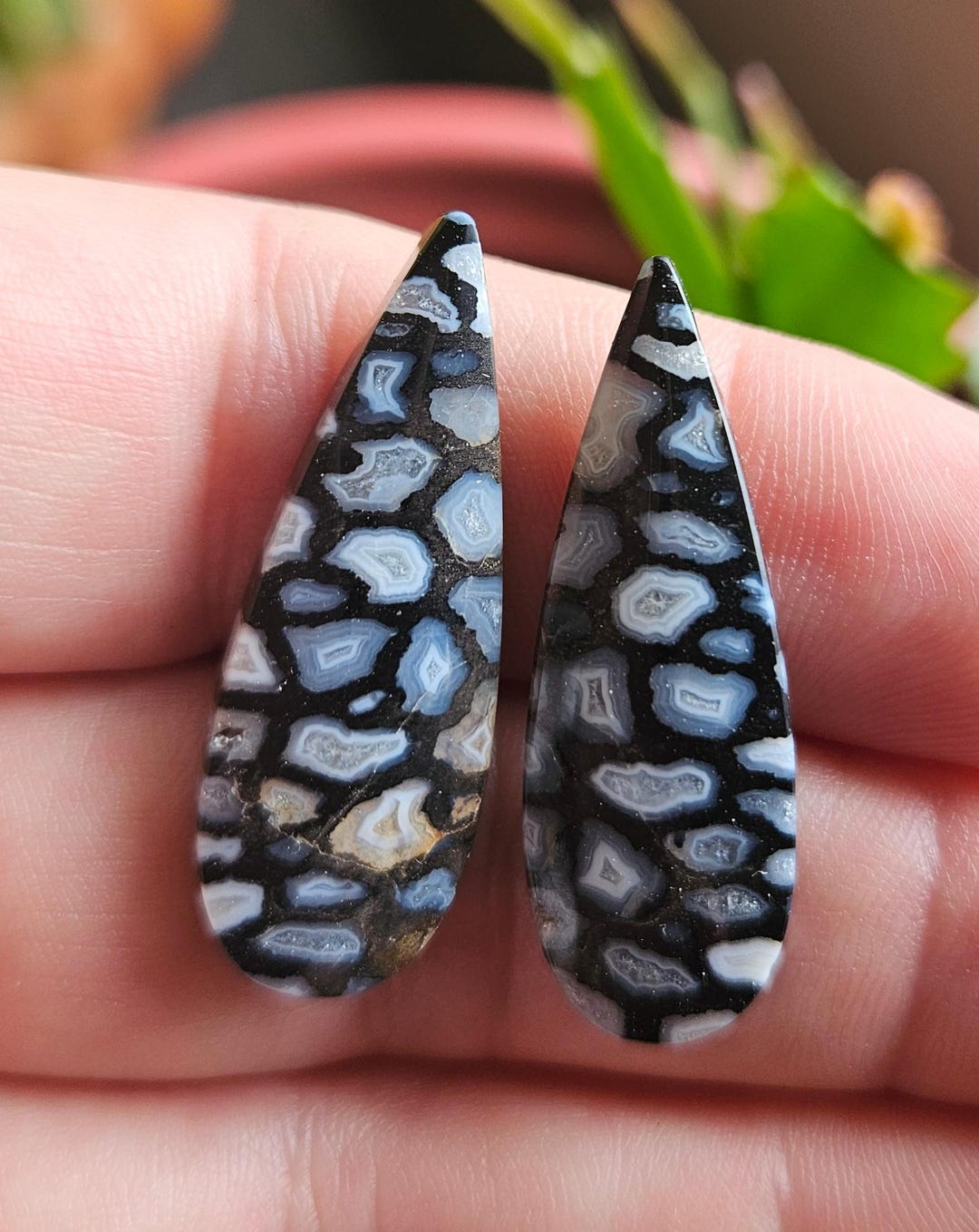 Unique and Rare Pair of Agatized Palm Wood Cabochons Perfect for ...
