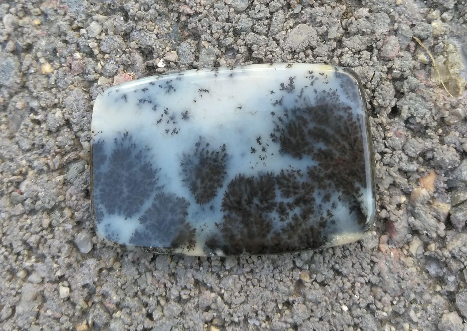 Eagle Rock River Plume Agate Cabochon - Etsy España