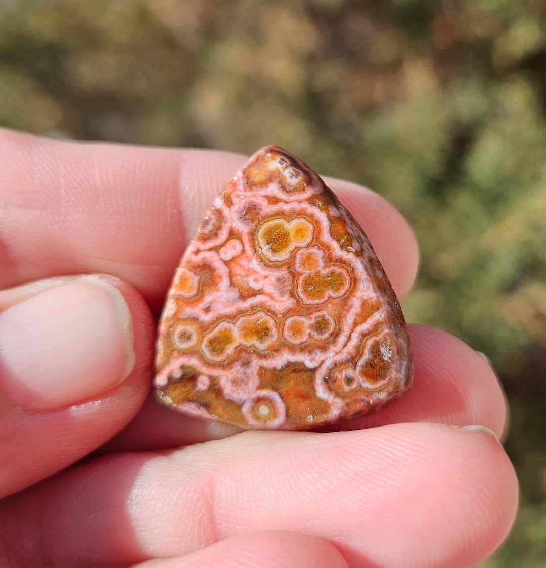 Red Triangular Orbicular River Jasper Cabochon Perfect for Jewelry - Etsy