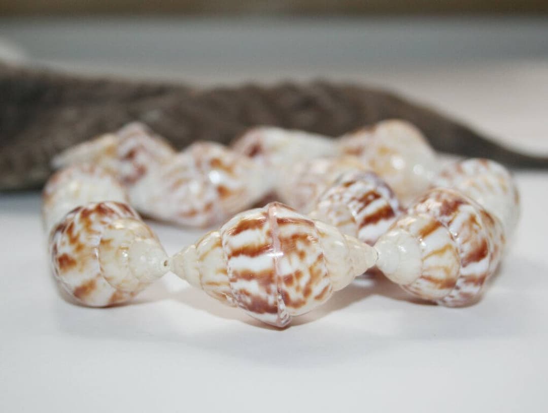 Snail Pearls, Natural Pearls, Rarity, Giant Snail, 40 Mm, 1 Piece Pearl ...