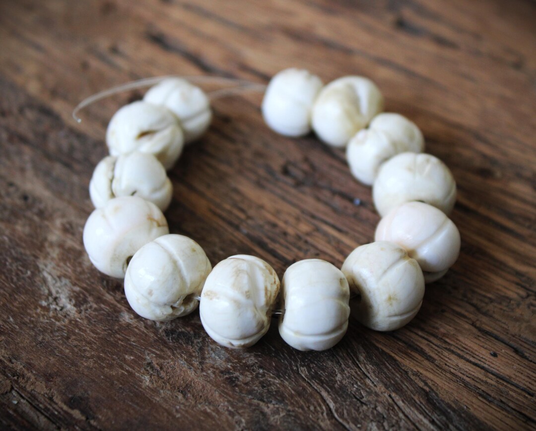 Shell Beads, Naga Conch Shell Beads, Old Used Beads, 13 Pieces - Etsy