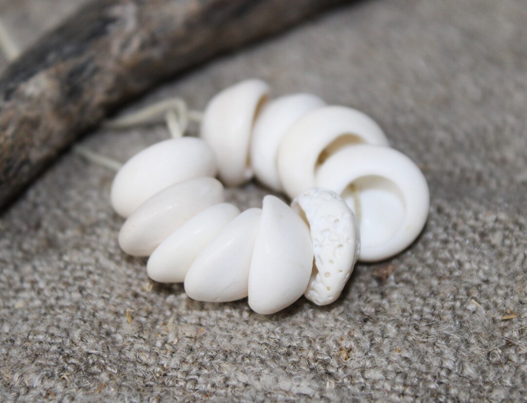 Puka Shell Beads, Shell Beads, Hawaiian White Shell Beads, 10 Pieces - Etsy