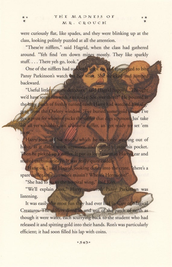 Hagrid Art Print Harry Potter Art Harry Potter Book Print | Etsy