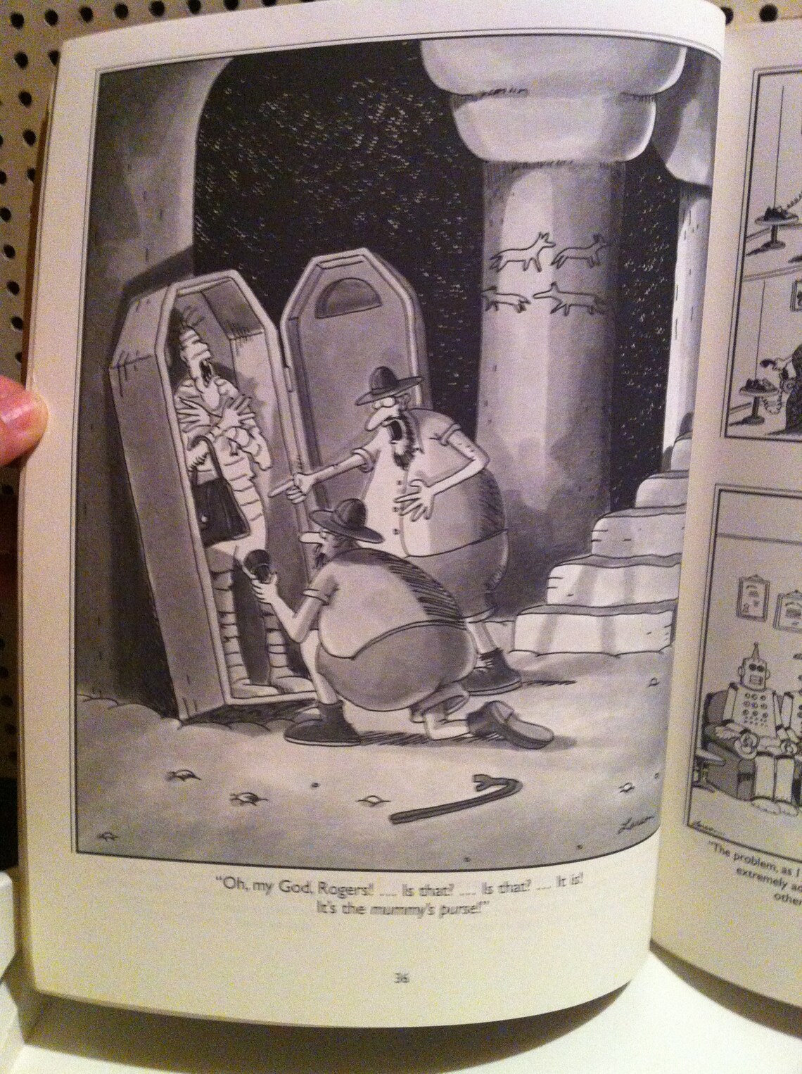 The Far Side Gallery 5 by Gary Larson foreword by Jane Goodall | Etsy