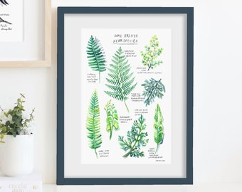 British Fern Species Poster A4 Botanical Print | Etsy UK