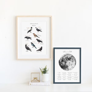 Map of the Moon Print A4 Size - Art Print, Moon Art, Moon Illustration ...