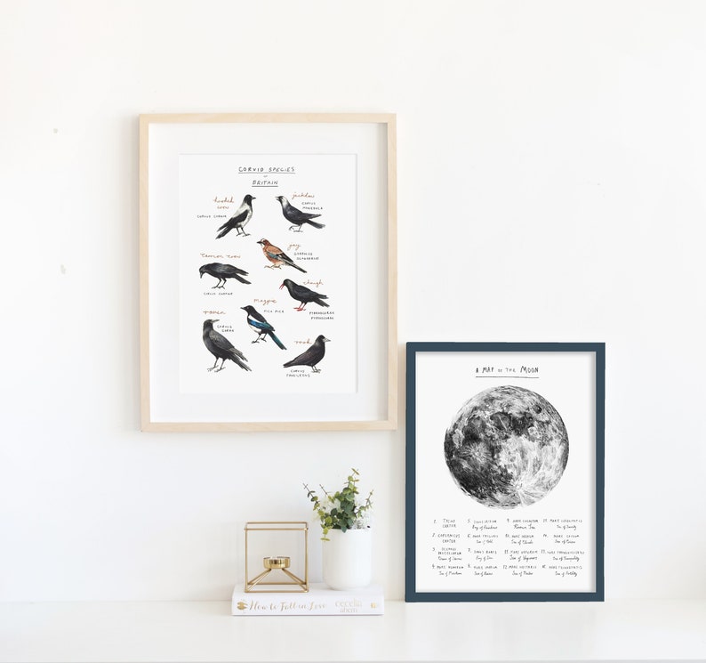 Map of the Moon Print A4 Size Art Print Moon Art Moon | Etsy