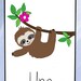 Sloth Number Flashcards in Spanish Sloth Número Flashcards En - Etsy