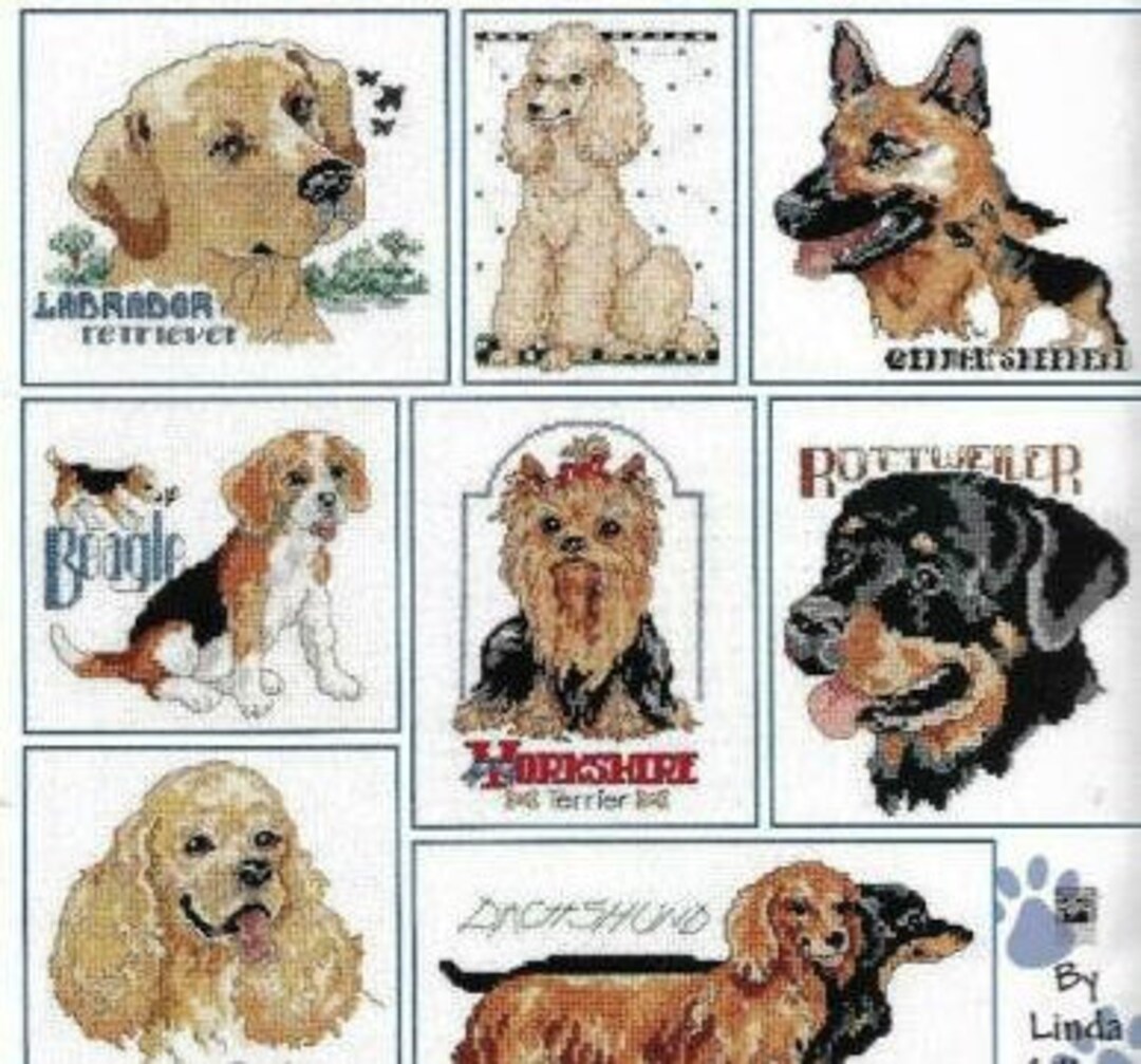 Vintage PDF Cross Stitch Pattern - Dog Breeds - Etsy