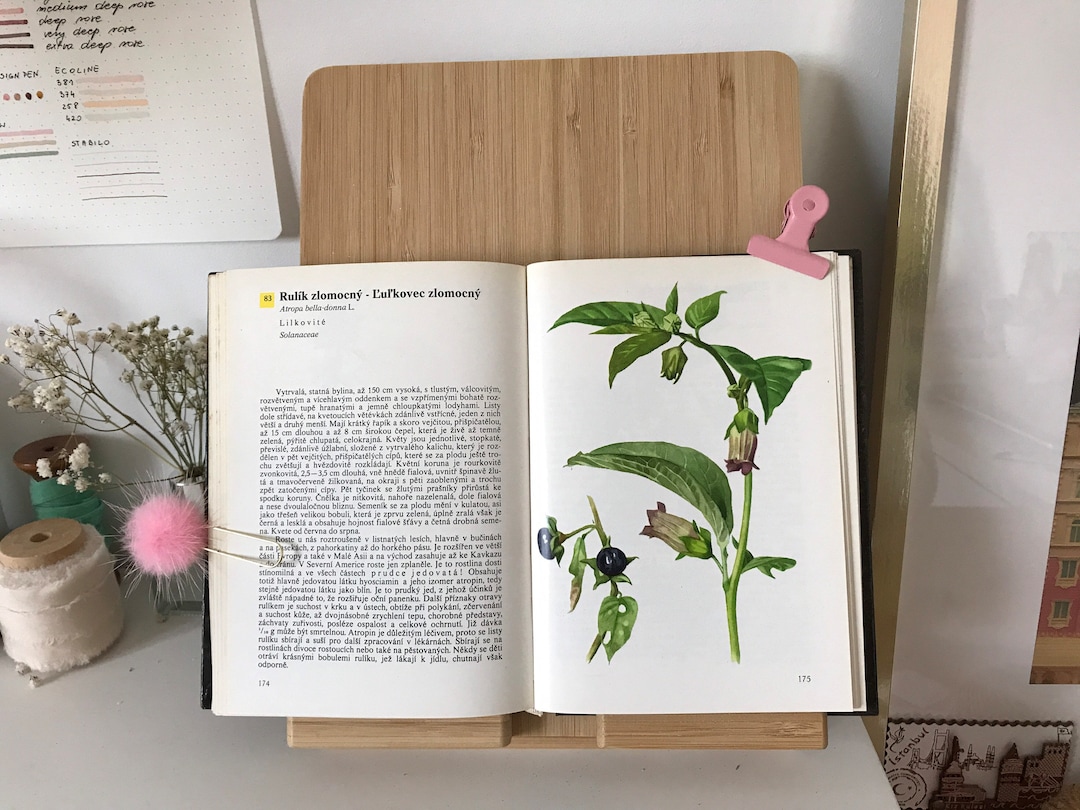 Vintage Illustrated Botanical Book | Vintage Plant Illustrations ...