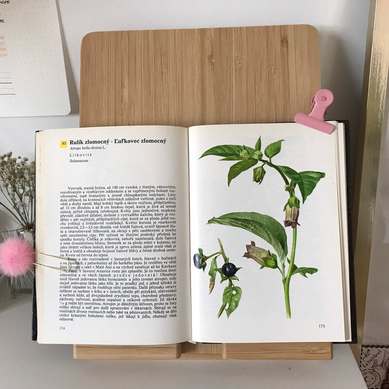 Botanical Illustration - Etsy