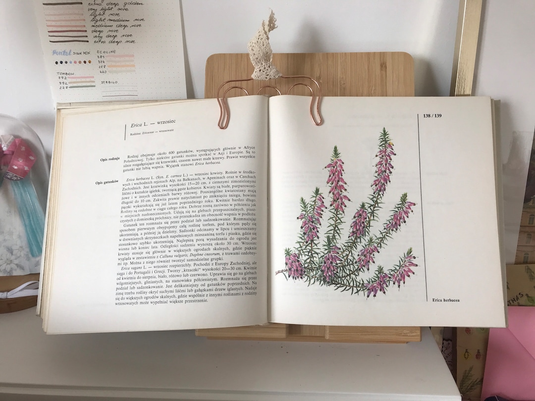 Vintage Illustrated Botanical Book | Vintage Plant Illustrations ...