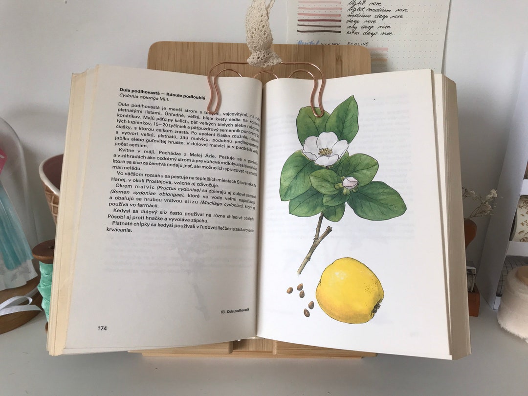 Vintage Illustrated Botanical Book | Vintage Plant Illustrations ...