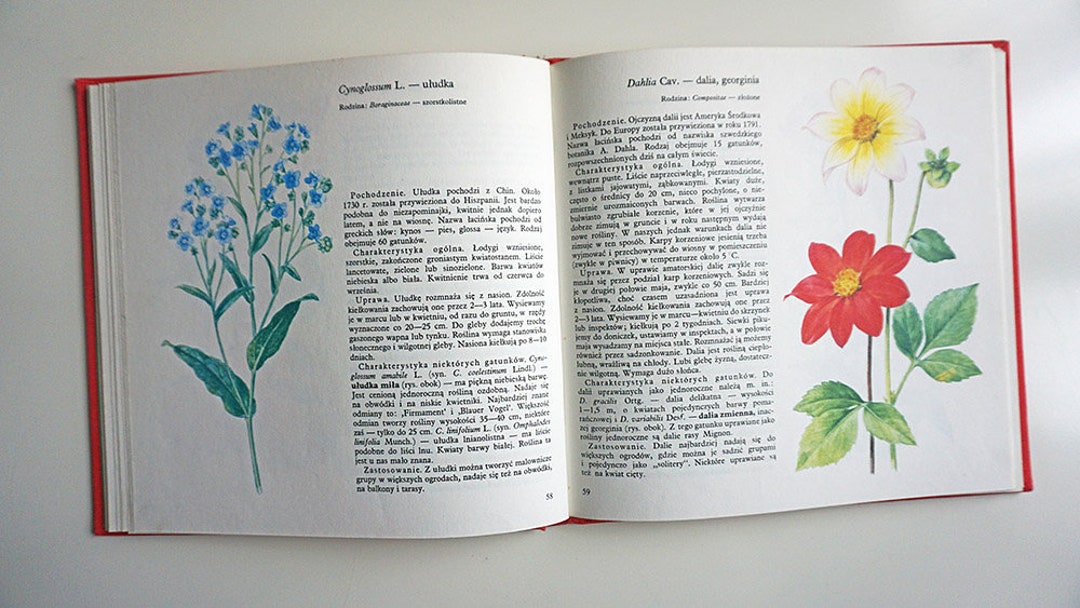 Vintage Illustrated Botanical Book | Vintage Plant Illustrations ...