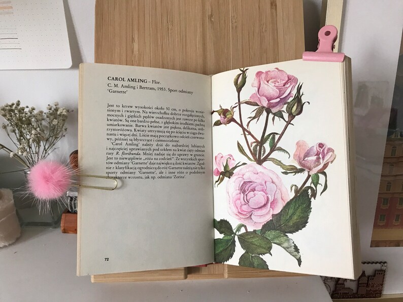 Vintage Illustrated Rose Book Vintage Rose Illustrations Rose ...