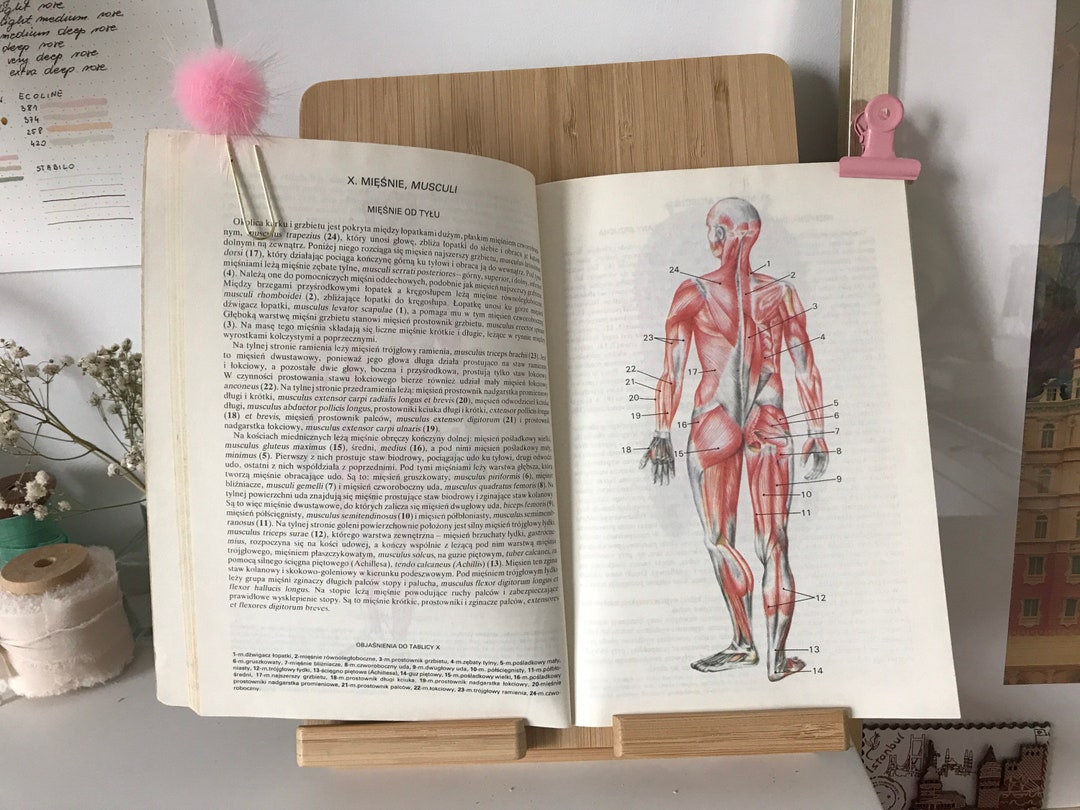 Vintage Illustrated Anatomy Book | Vintage Anatomy Illustrations ...