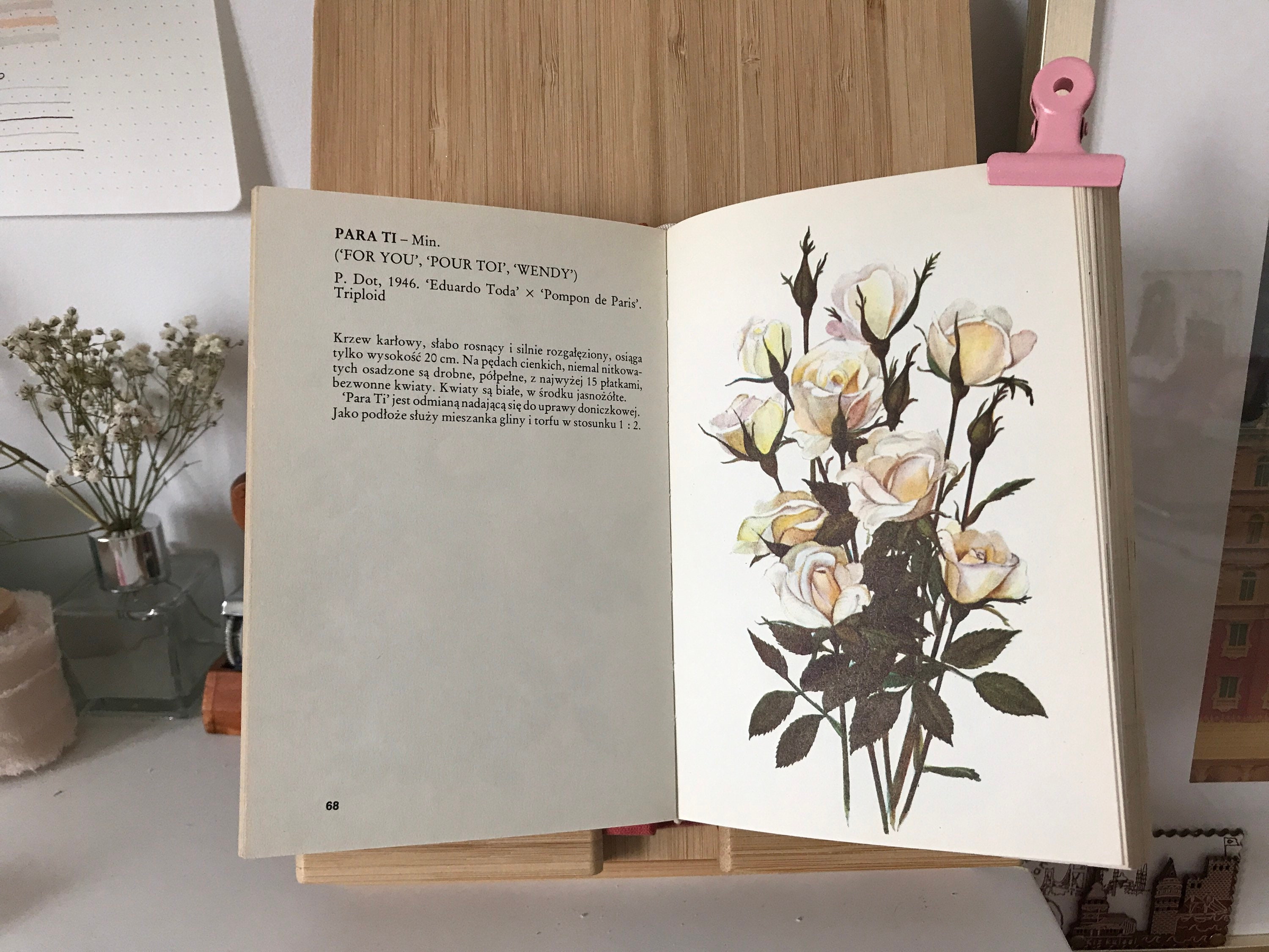 Vintage Illustrated Rose Book Vintage Rose Illustrations Rose ...