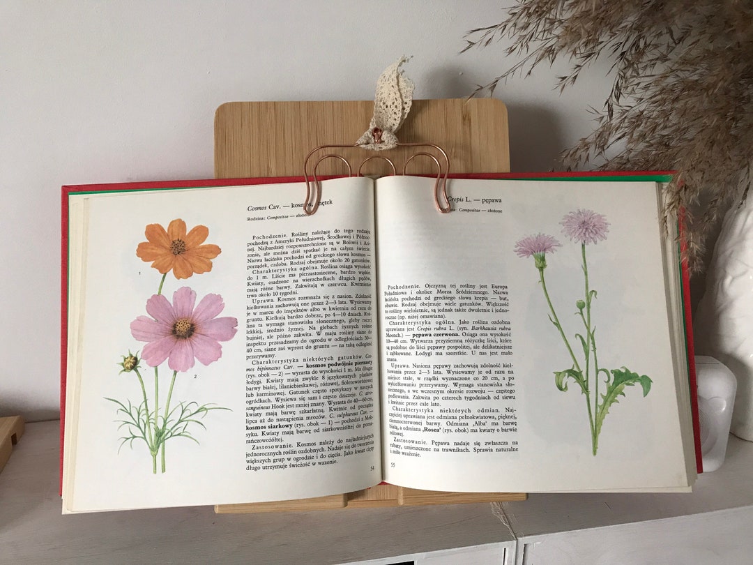 Vintage Illustrated Botanical Book | Vintage Plant Illustrations ...