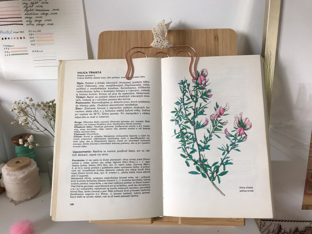 Vintage Illustrated Botanical Book Vintage Plant Illustrations ...