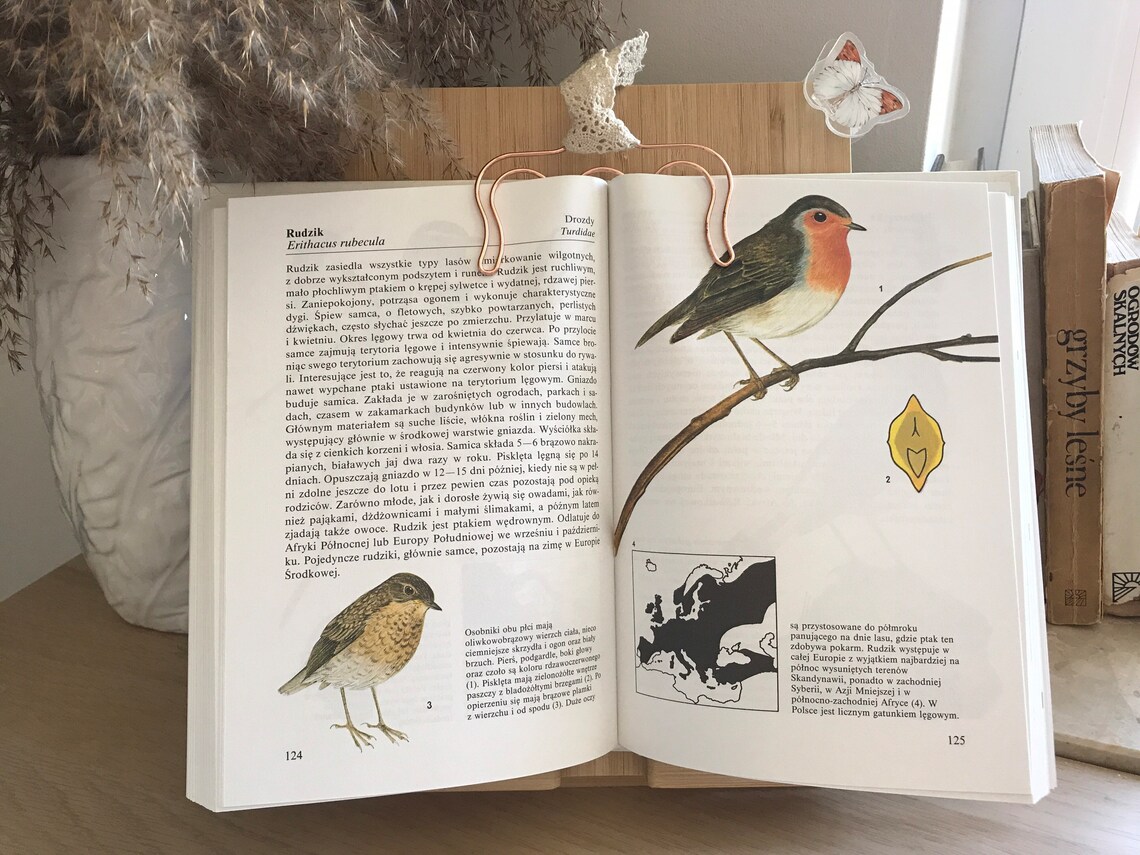 Vintage Illustrated Birds Book | Vintage Birds Illustrations | Birds ...