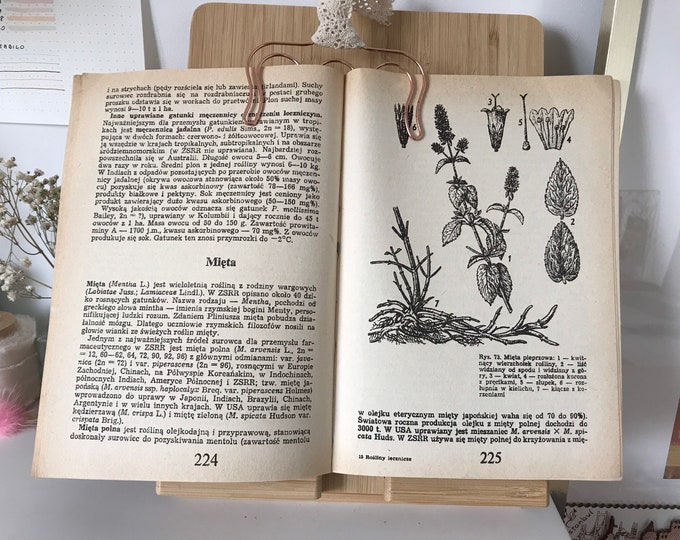 Vintage Illustrated Botanical Book | Vintage Plant Illustrations ...