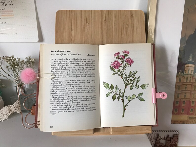 Vintage Illustrated Botanical Book Vintage Plant - Etsy