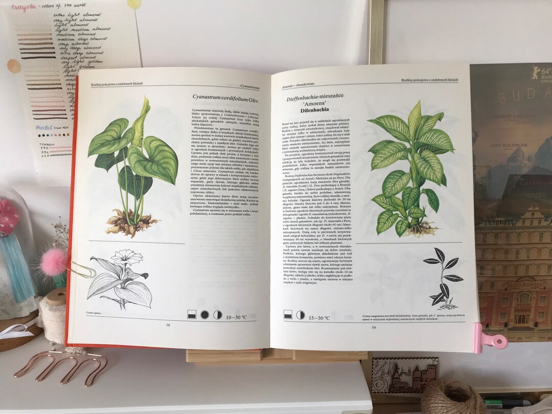 Vintage Illustrated Botanical Book | Vintage Botanical Illustrations ...
