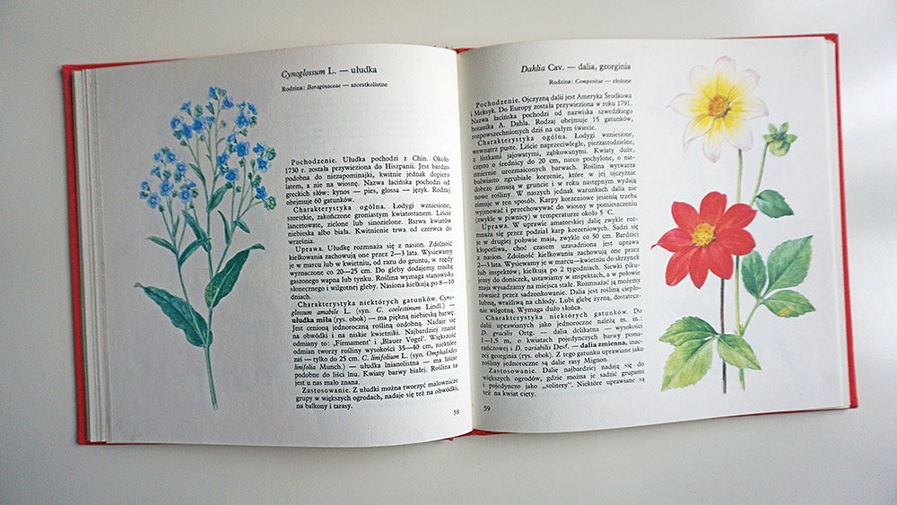 Vintage Illustrated Botanical Book | Vintage Plant Illustrations ...