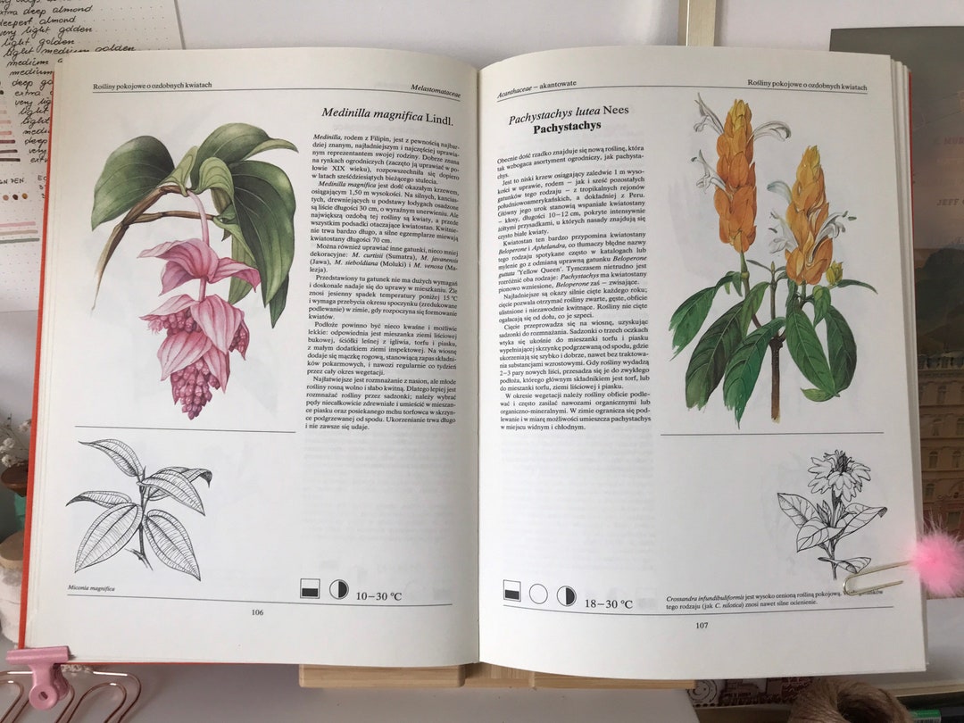 Vintage Illustrated Botanical Book | Vintage Botanical Illustrations ...