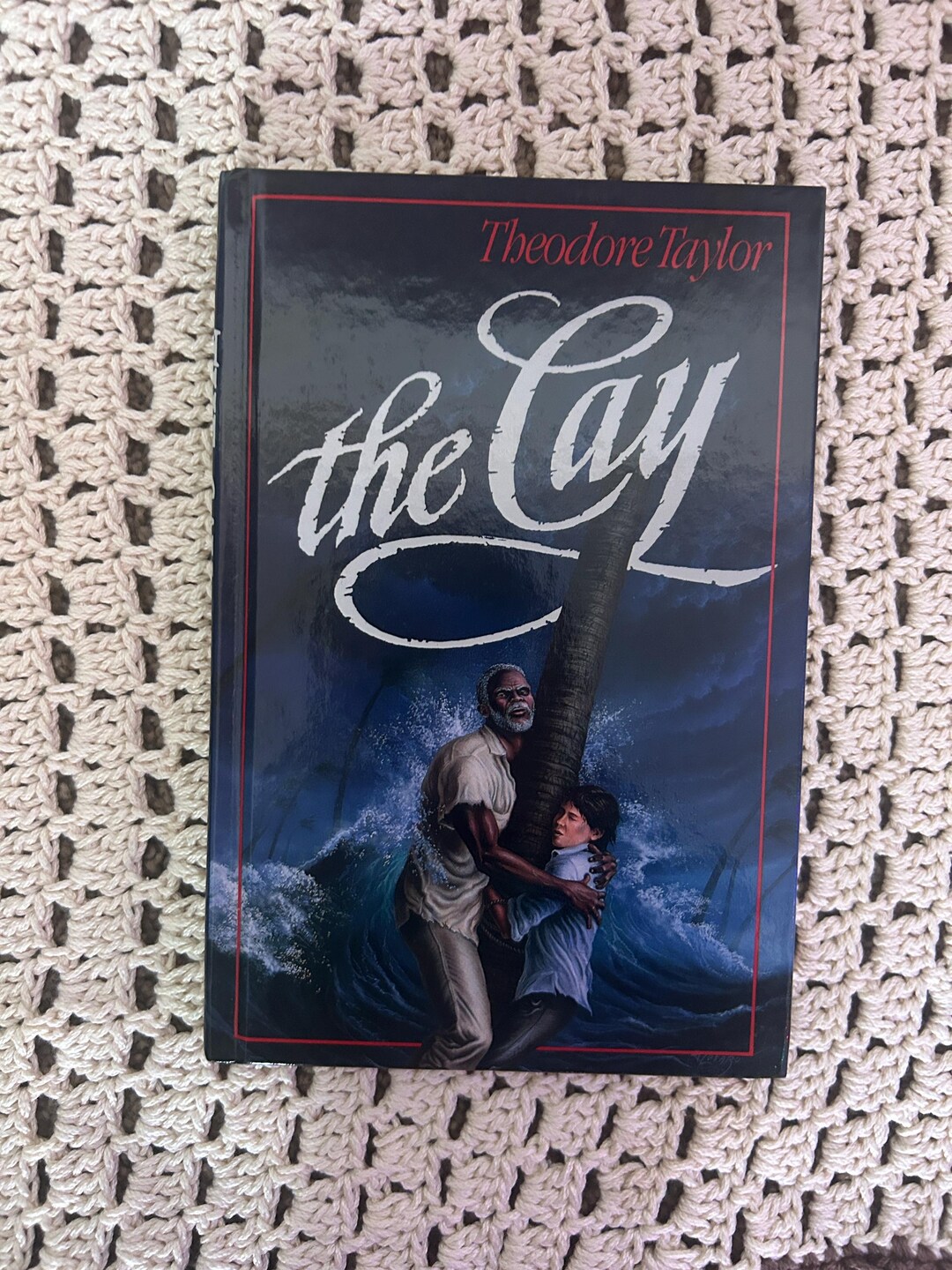 The Cay Theodore Taylor | 1987 Delacorte Press | Vintage YA Novel - Etsy