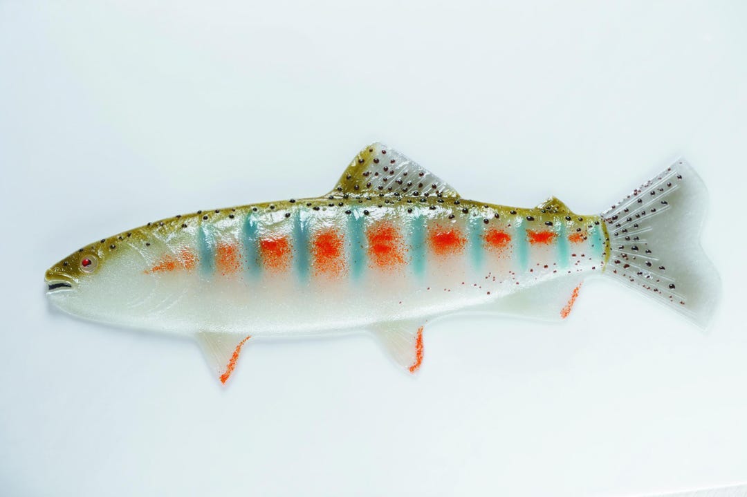 Handcrafted Glass Trout Fish Lamp / Fused & Kiln-formed Glass Fish Art ...