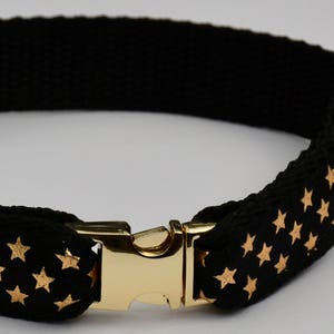 Gold Star Dog Collar, Dog Collar, Black and Gold Star Collar, Cat ...