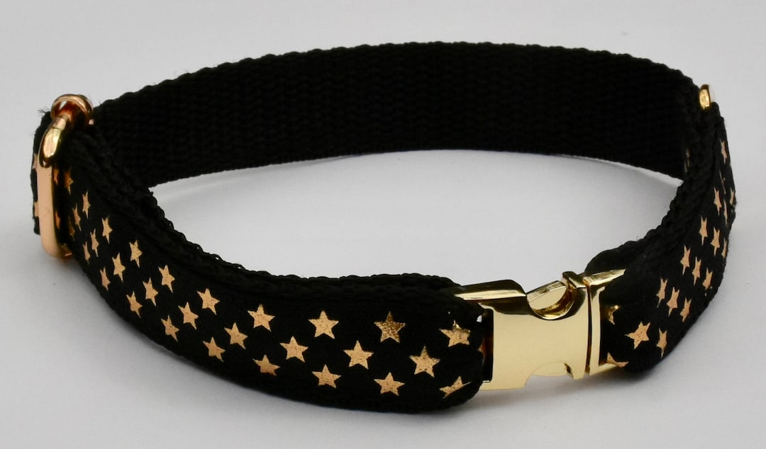 Gold Star Dog Collar, Dog Collar, Black and Gold Star Collar, Cat ...