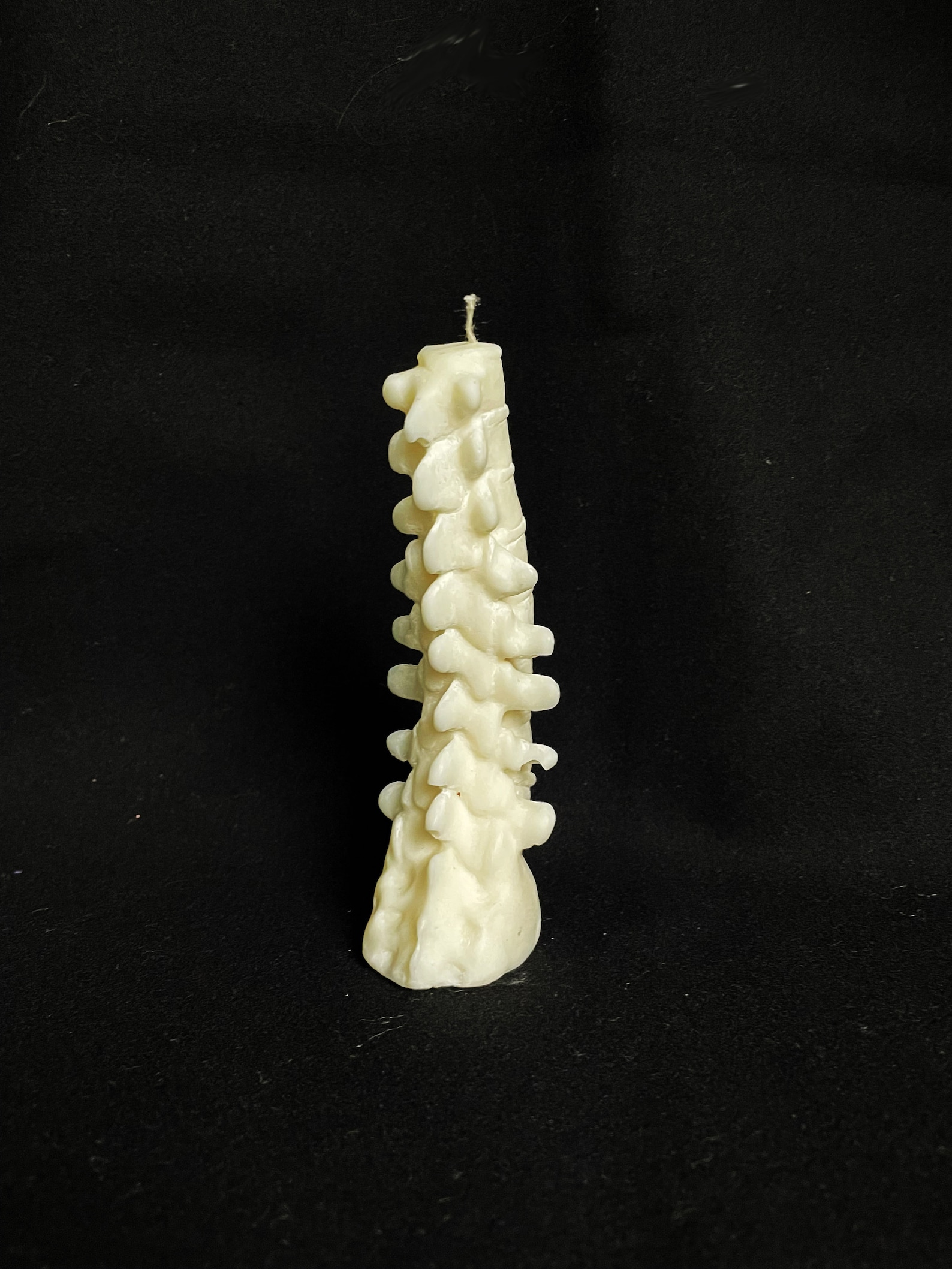 Candle spine Candle Gothic Vegan Desk Home Decor - Etsy