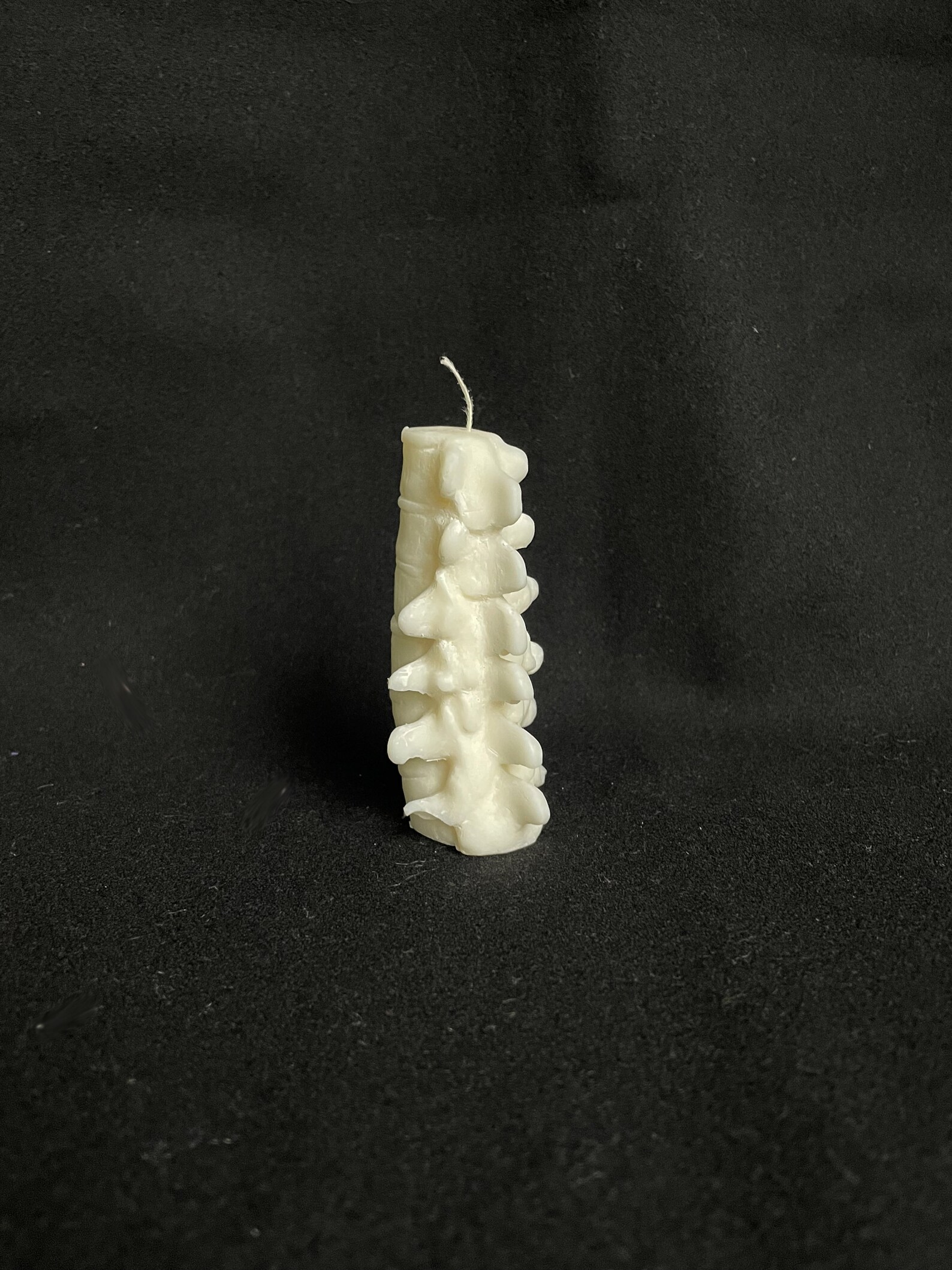 Candle spine Candle Gothic Vegan Desk Home Decor - Etsy