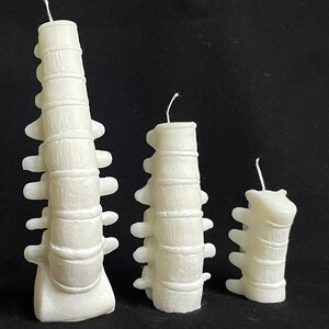 Candle "spine" Candle Gothic Vegan Desk Home Decor Statue Sculpture - Etsy