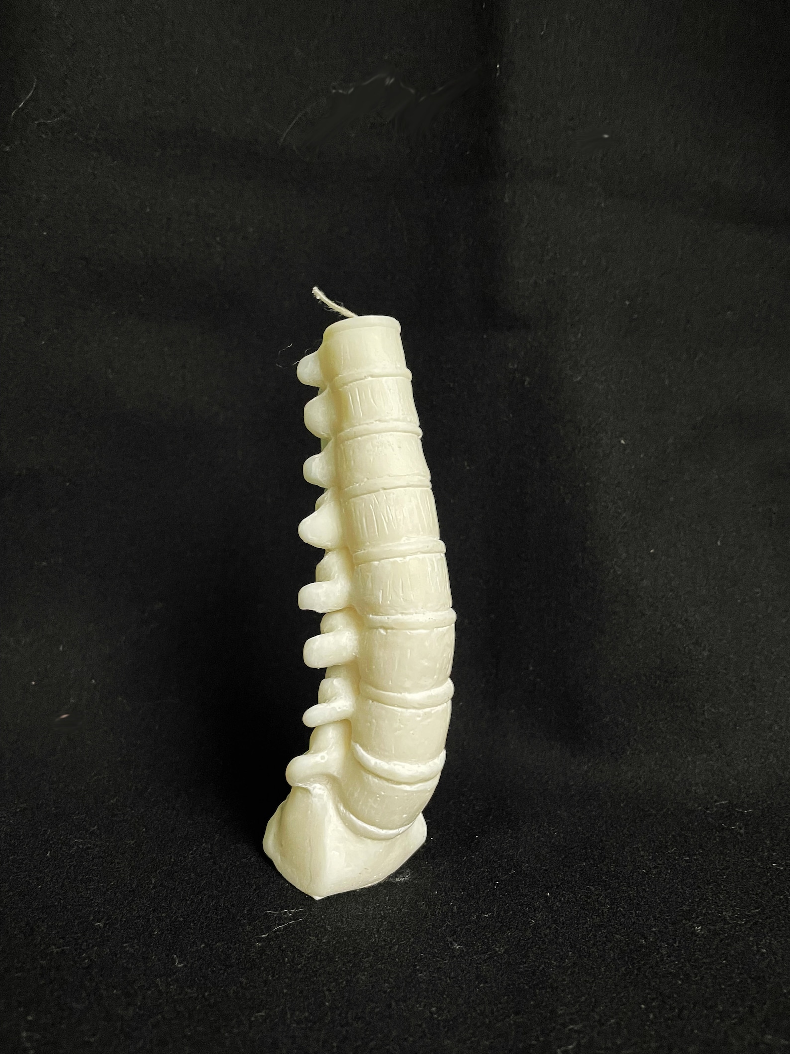 Candle spine Candle Gothic Vegan Desk Home Decor - Etsy