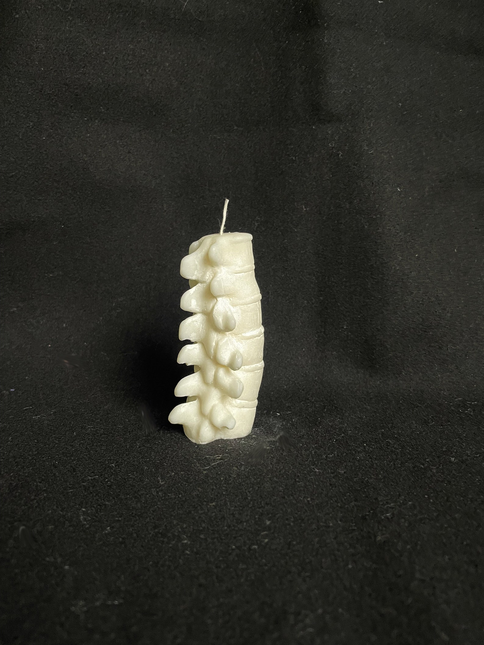 Candle spine Candle Gothic Vegan Desk Home Decor - Etsy