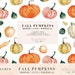 Watercolor Pumpkins Clipart, Halloween Thanksgiving Clipart, Autumn ...