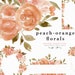 Peach Orange Floral Wreath Clipart, Boho Floral Frame Clip Art ...
