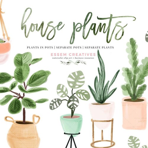 30 House Plant Clip Art Greenery Clipart Potted Plant - Etsy