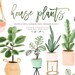 Watercolor House Plants Clip Art Indoor Plants Potted Plant | Etsy